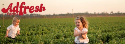 Adfresh Farms | Australian Fresh Frozen herbs and chillies
